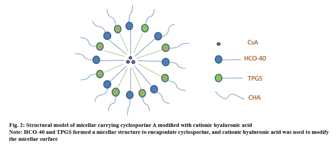 Cationic Hyaluronic Acid-Modified Cyclosporin Micelles Used for Ocular ...